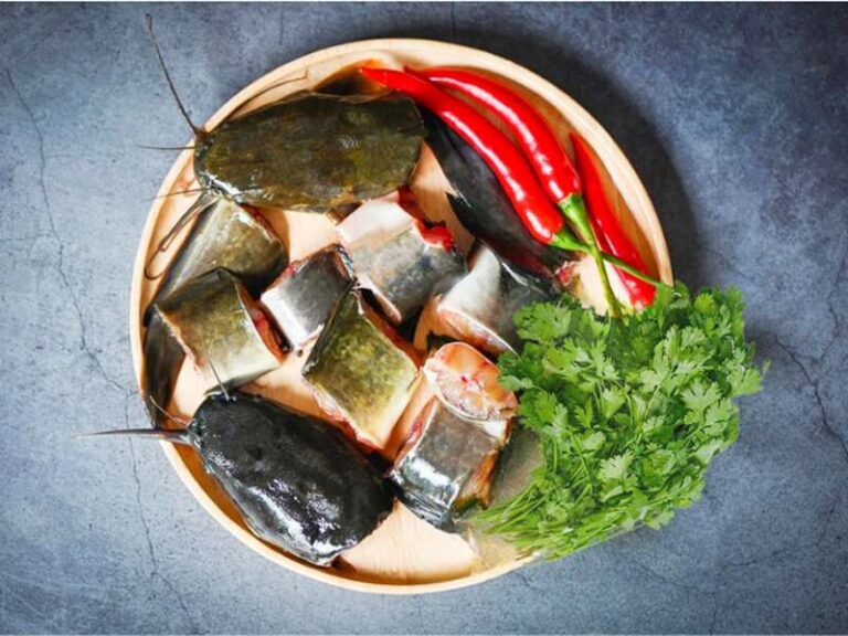 Magur (Desi)/Freshwater Catfish( Natural grown) -Cut in Pieces ...